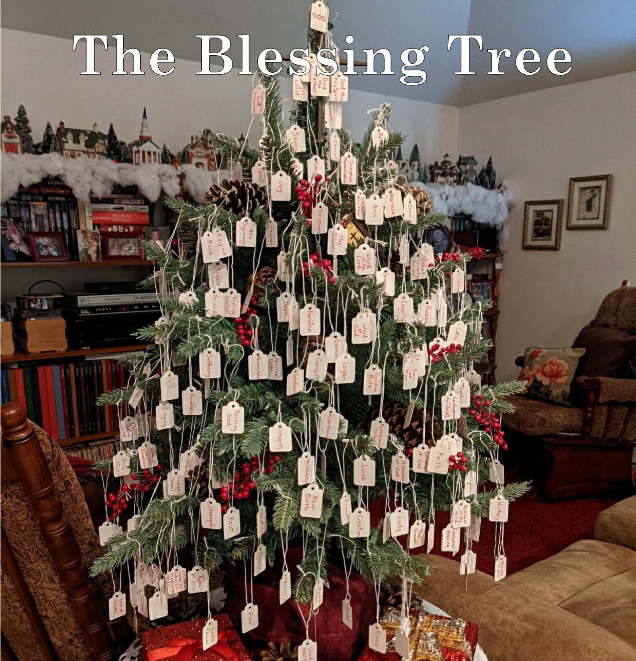 Lion and Lamb Apologetics – Teaching the Truth of God's Word