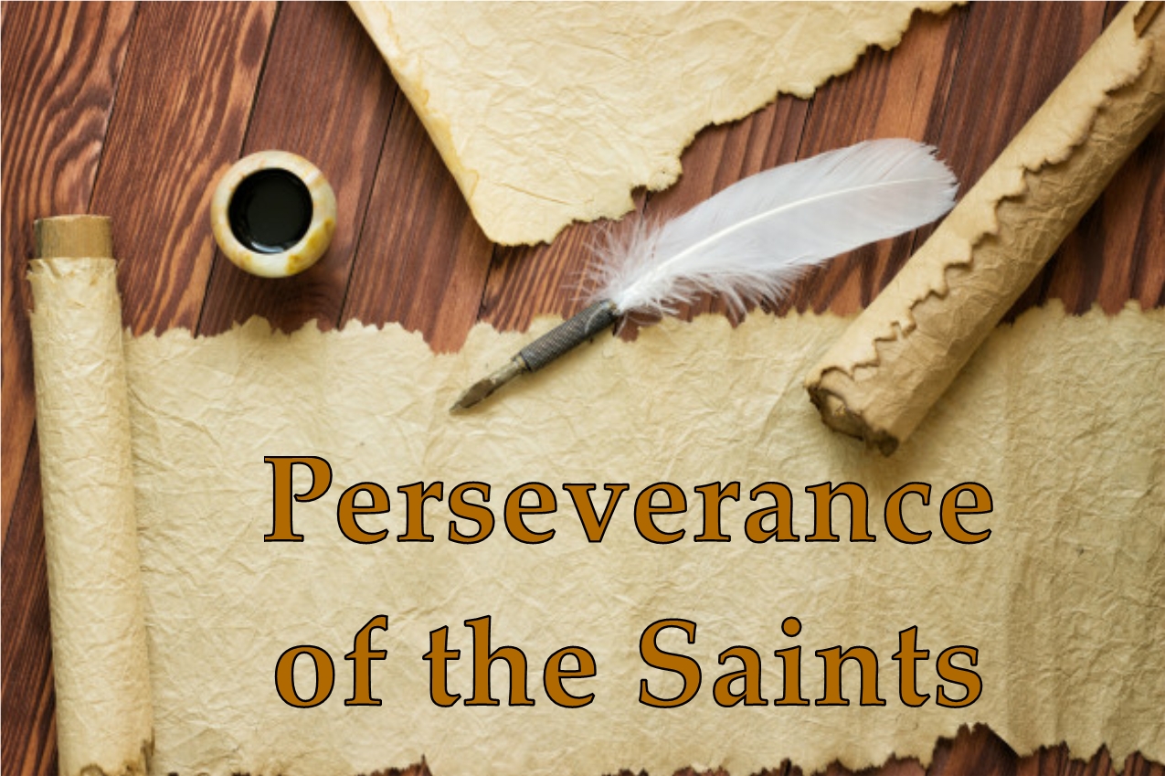 The Five Points of Calvinism – Lion and Lamb Apologetics