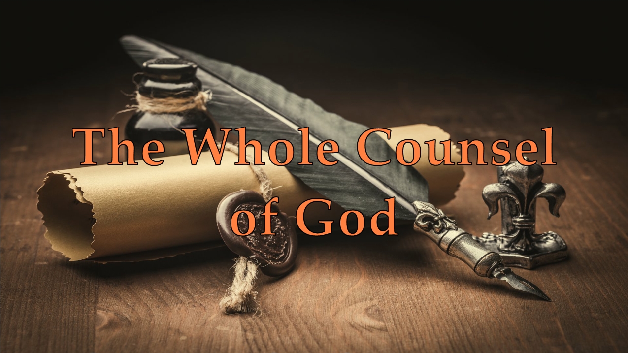 The Doctrines of Grace – Lion and Lamb Apologetics