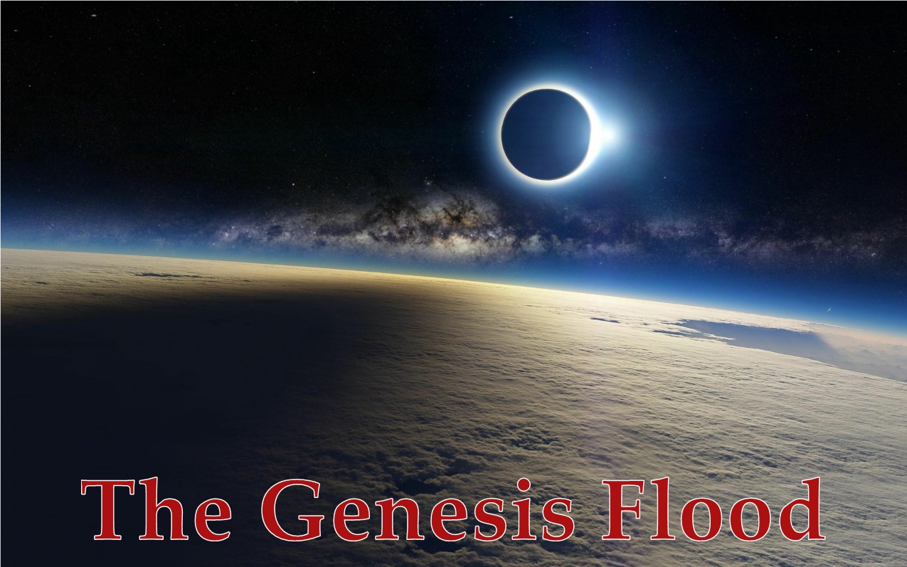 Resources on Creationism – Lion and Lamb Apologetics