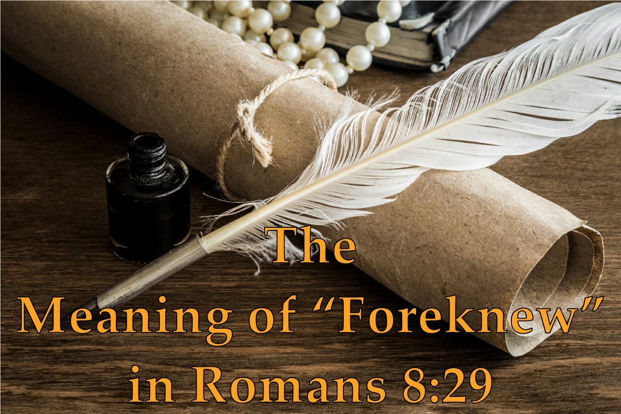 The Doctrines of Grace – Lion and Lamb Apologetics